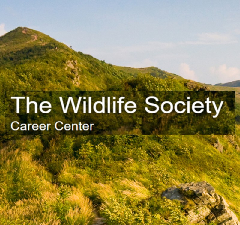 Wildlife Jobs - The Wildlife Society